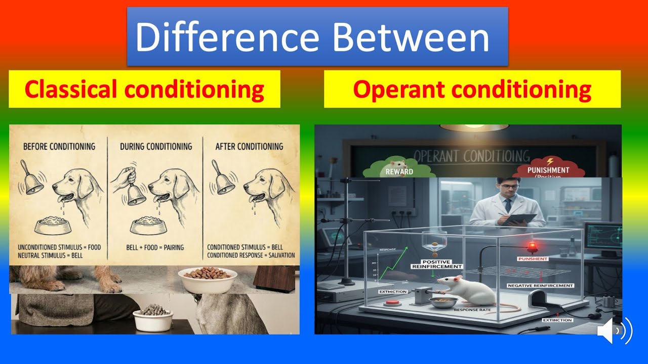 Differences between Operant Conditioning and Classical Conditioning ...