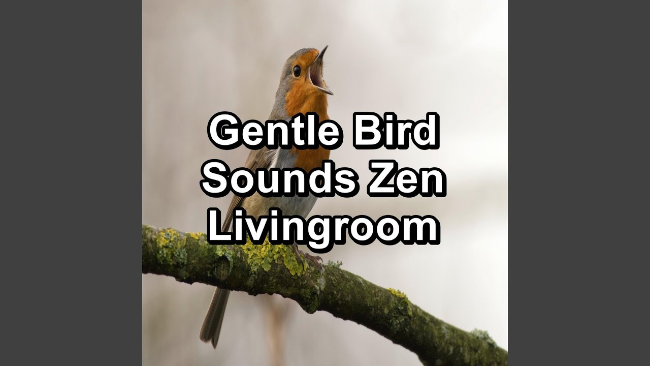 Calm Bird Sounds ASMR Instant Relaxing Loop your Whole Sleep - YouTube