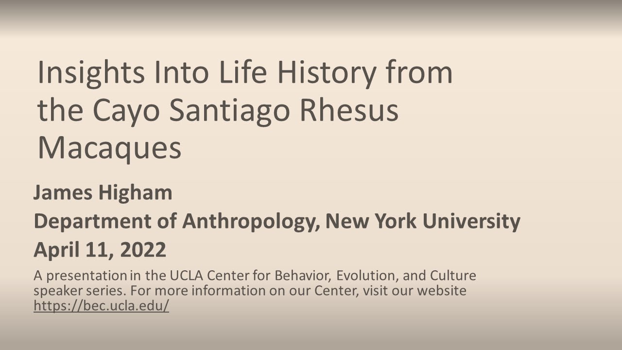 James Higham- Insights Into Life History from the Cayo Santiago Rhesus ...