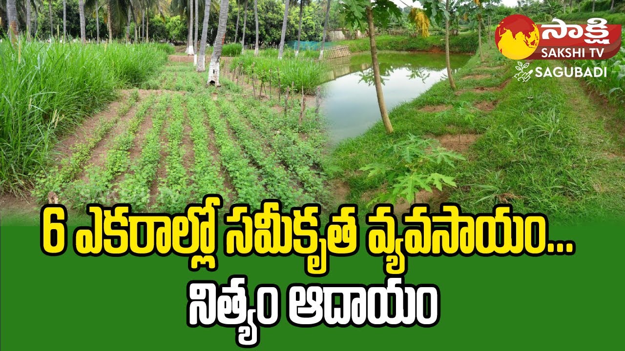 సమీకృత వ్యవసాయం... | Integrated Farming Systems | Sakshi TV Sagubadi ...