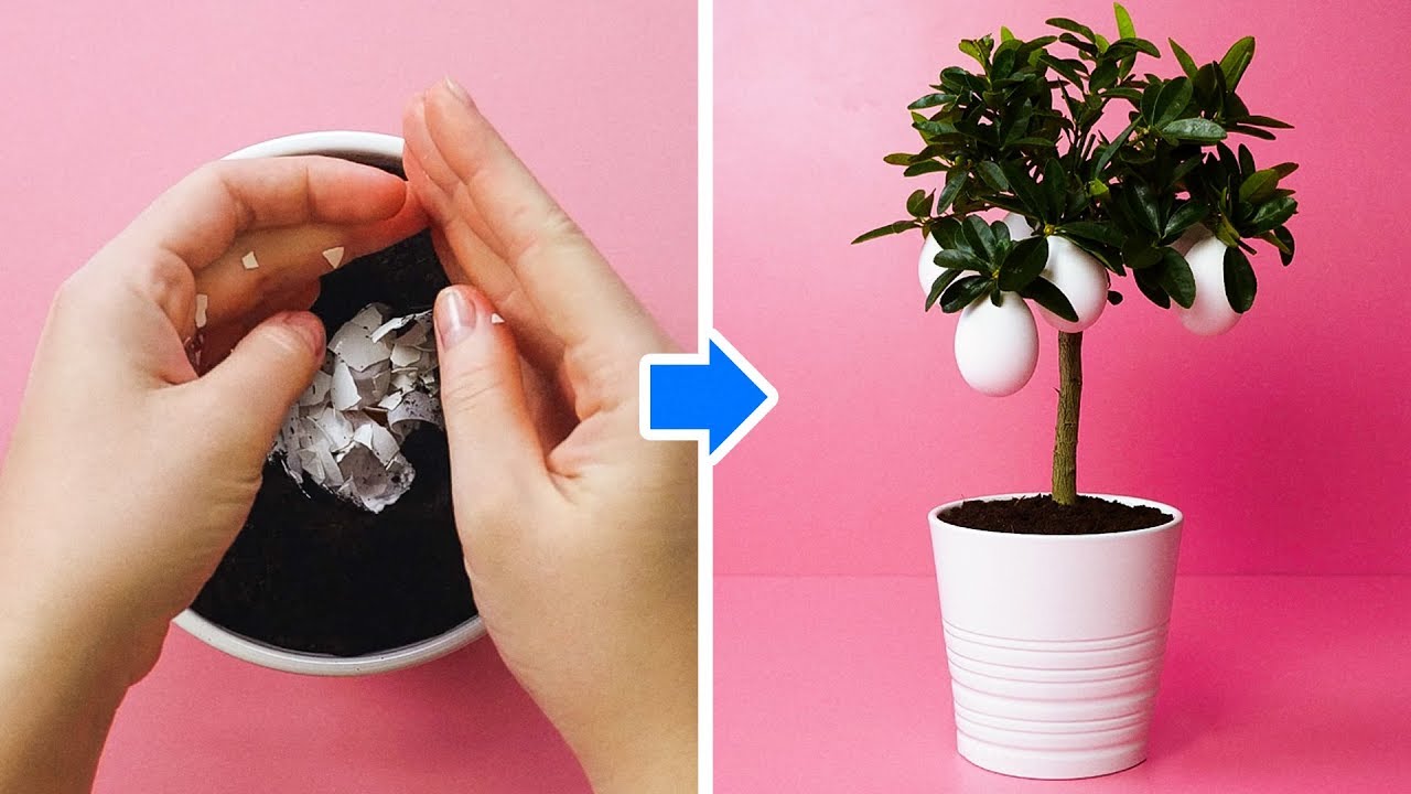 16 CRAZIEST PRANKS FOR YOUR FRIENDS - YouTube