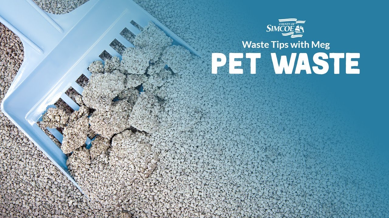 Pet Waste Goes in The Green Cart! Waste Tips with Meg - County of ...