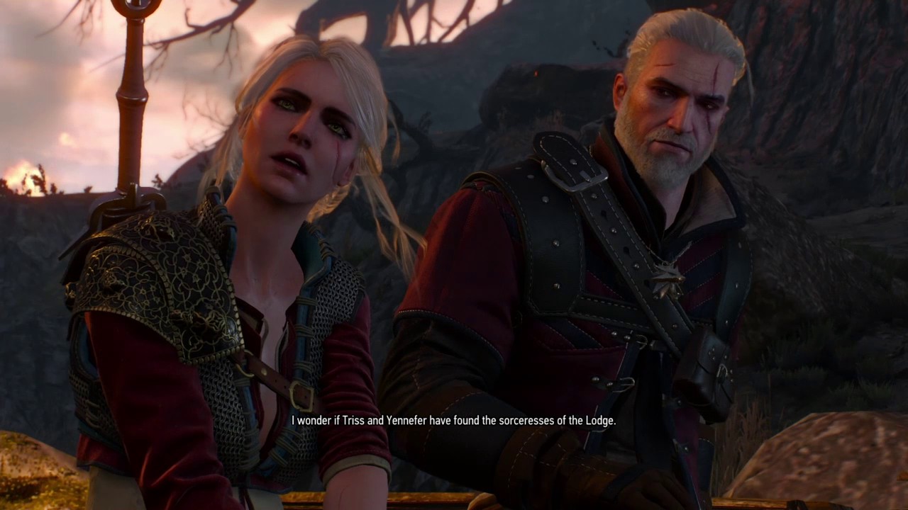 The Witcher 3: Wild Hunt - What If Geralt keeps Magic Acorn? - YouTube