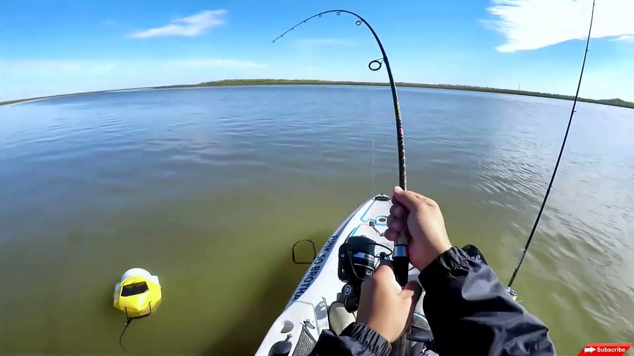 Clip from latest Video - Click Link below for Full Video - YouTube