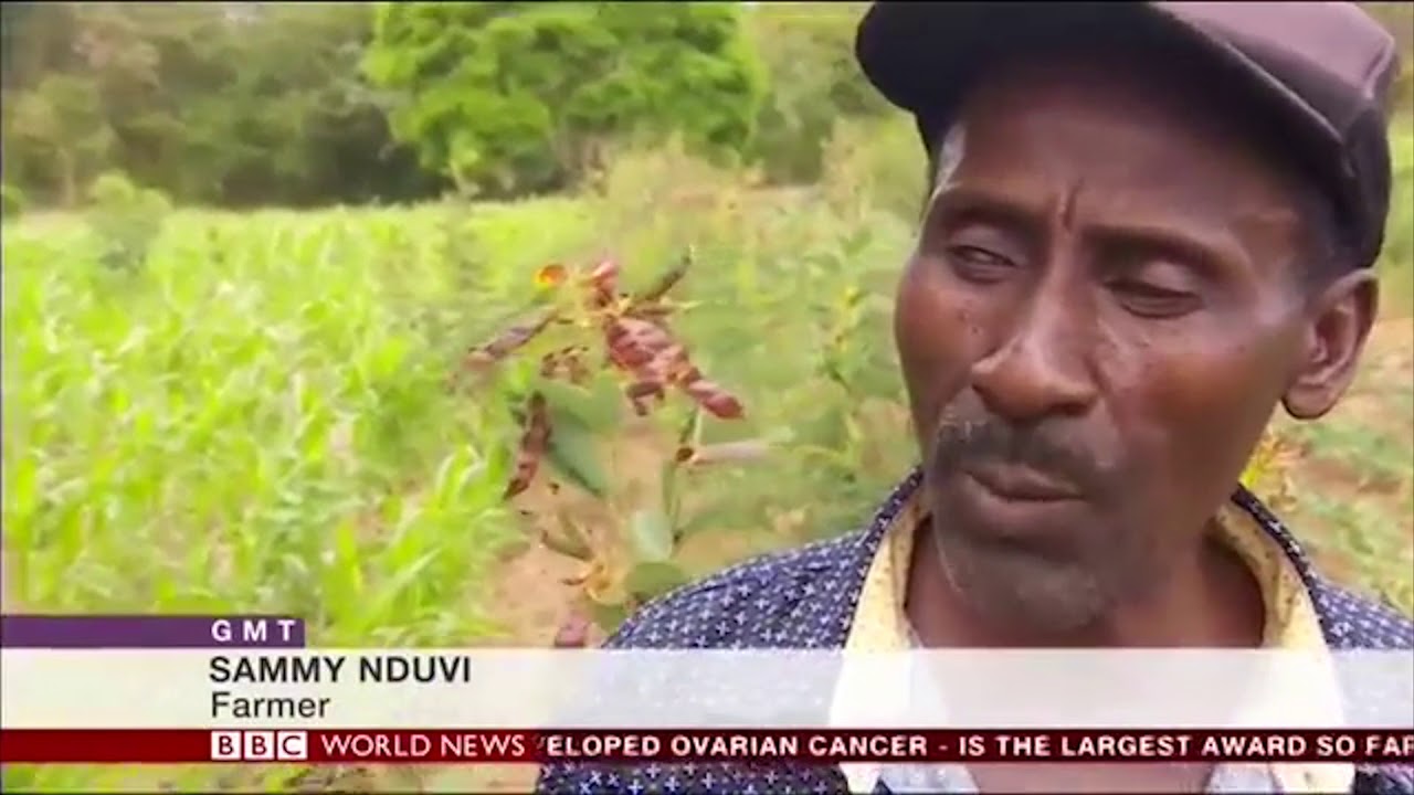 BBC World News: Africa's Population Explosion - YouTube