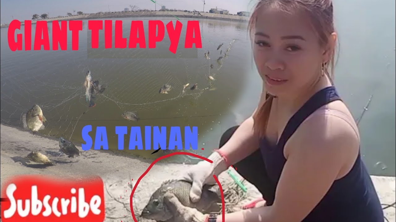 TRADITIONAL FISHING IN TAIWAN 🎣 BEAUTIFUL GIRL CATCHING BIG FISH. - YouTube