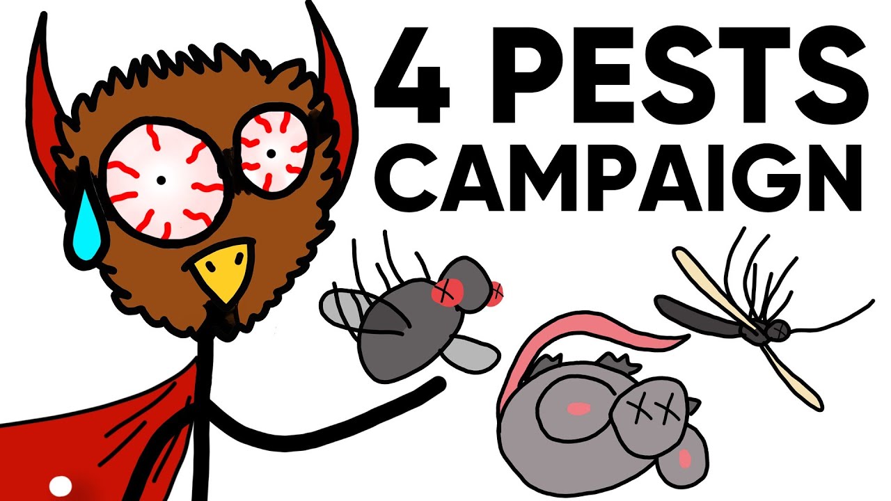 How Killing Sparrows Killed a Country? - YouTube