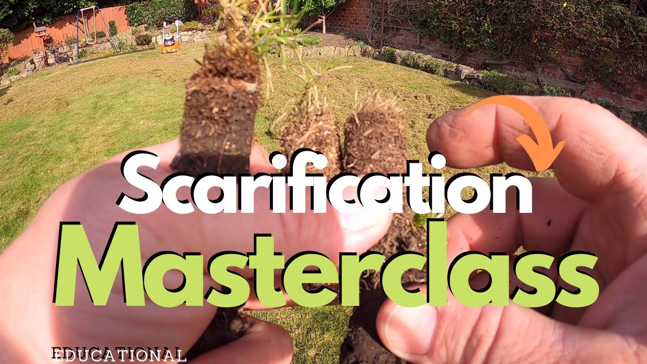 Scarification BASICS - Learn Why And How To Scarify Your Lawn - YouTube