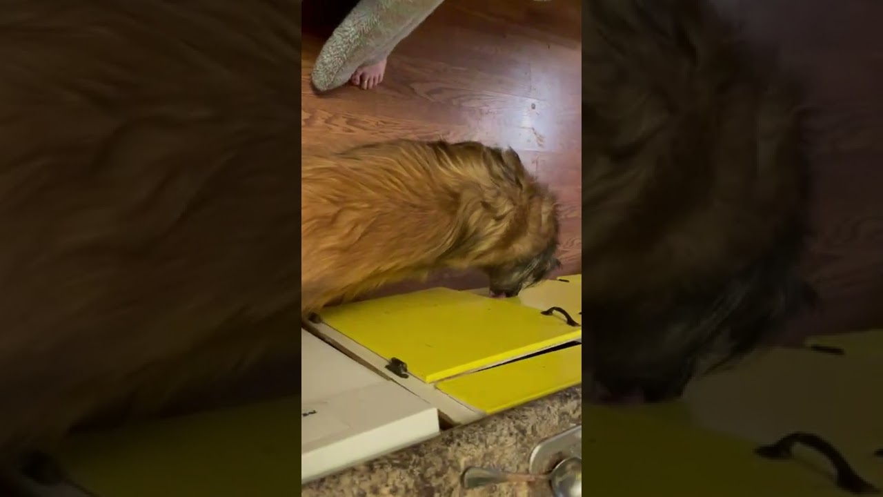 Jeff cleaning the kitchen - YouTube