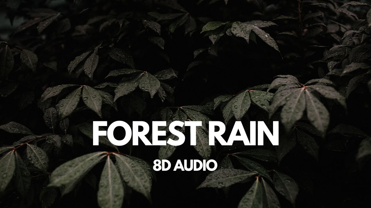 8D Forest Rain – Immersive Audio 🎧 - YouTube