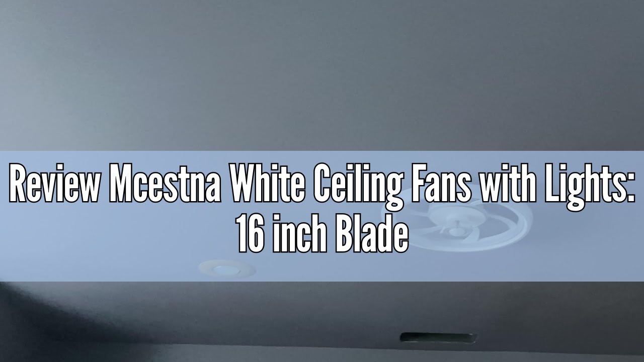Review Mcestna White Ceiling Fans with Lights: 16 inch Bladeless Modern ...