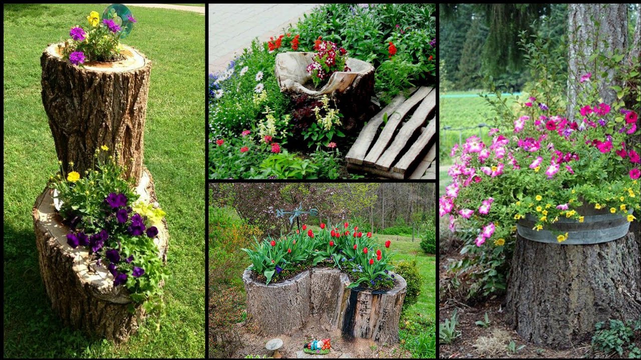 Amazing & Elegant Tree Stump Ideas for Garden Decor 2021 - YouTube