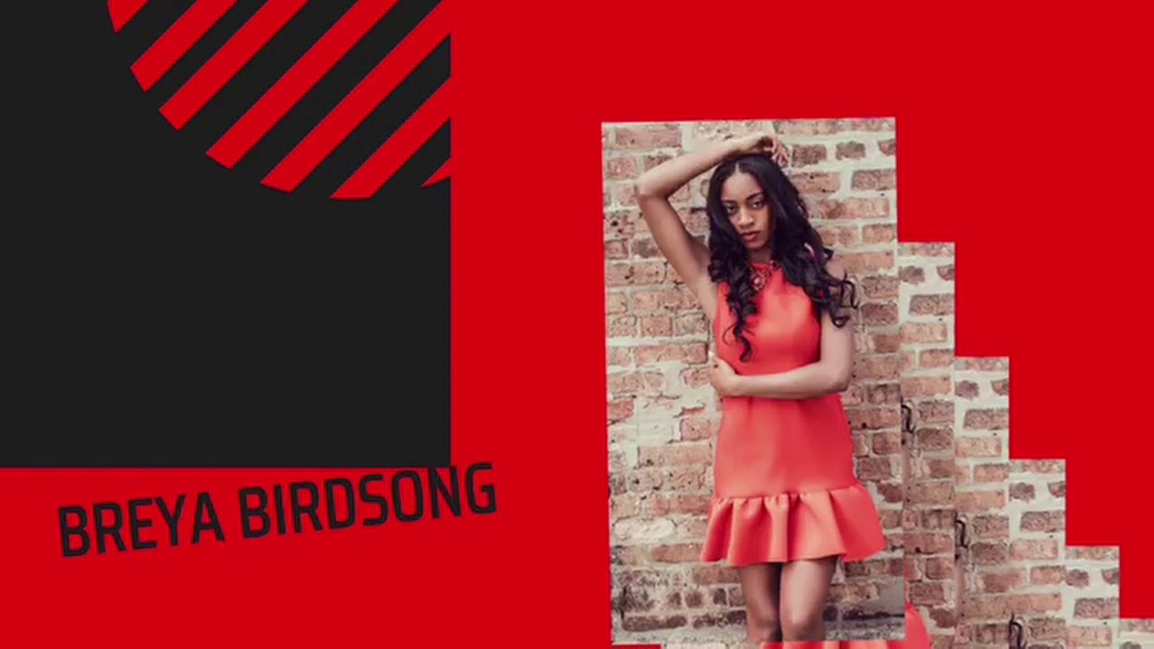 Breya Birdsong Model Development Intro! - YouTube
