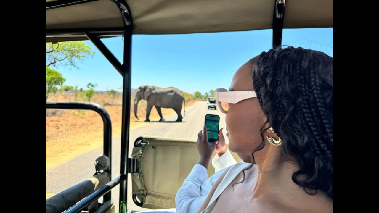 Kruger national Park Game Drive || Graskop || Hiking the Blyde Canyon 🌸 ...