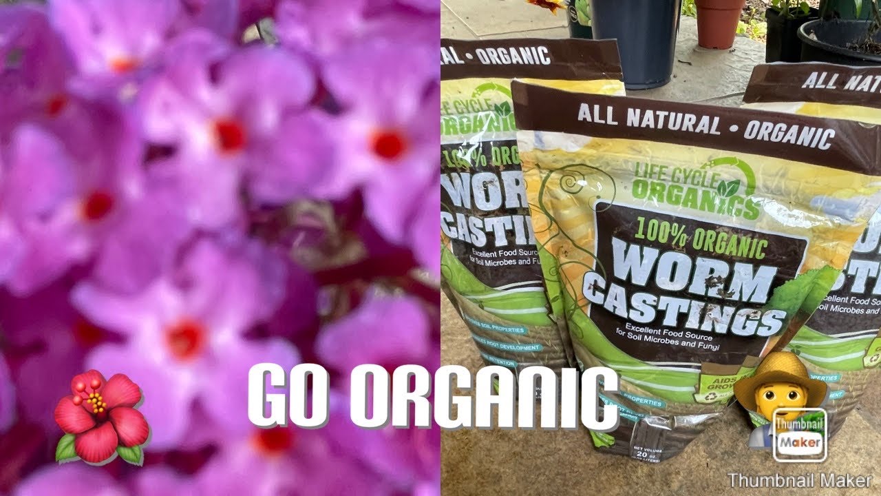 Stop using pesticides and stop using liquid fertilizers and go organic🧑 ...