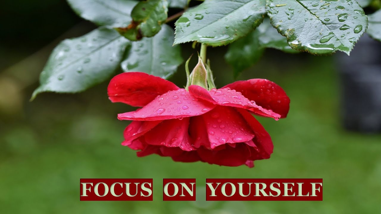 Why Should You Focus On Yourself First - YouTube