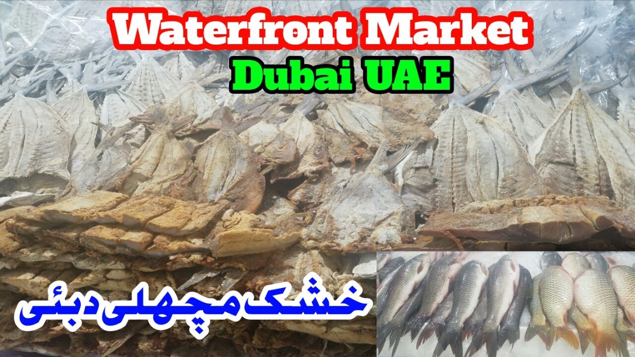 Dry Fish Waterfront Market Dubai United Arab Emirates - YouTube