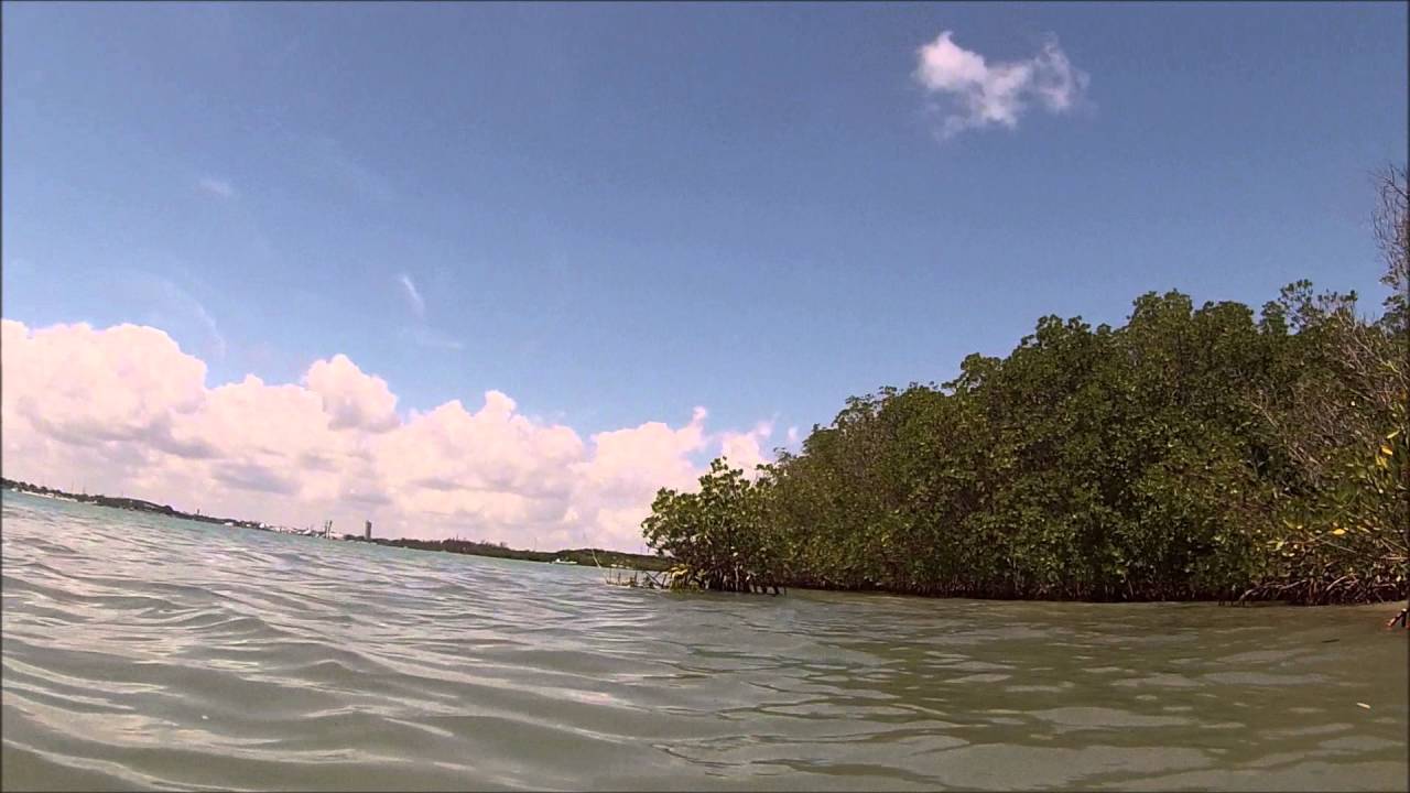 Coon Island, Fort Pierce - YouTube