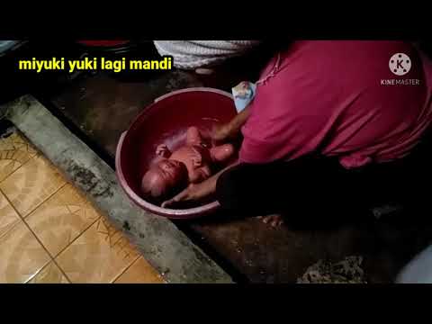MIYUKI YUKI // mandi pagi di mandiin nenek miyuki yuki