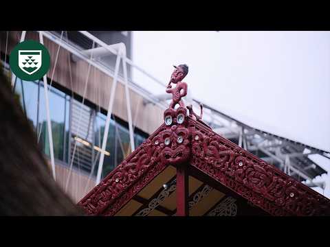 Ngā Mokopuna at Te Herenga Waka—Victoria University of Wellington