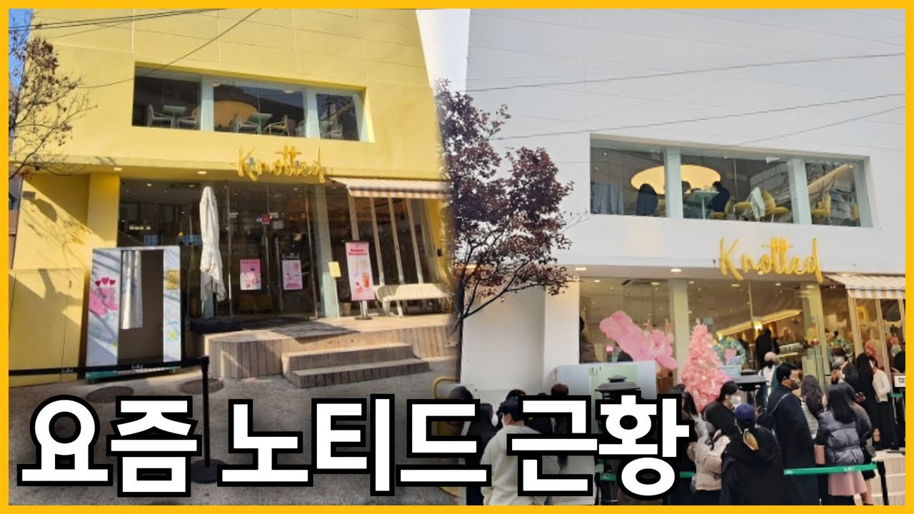 Noted Donuts: Rise, Fall, and Future Prospects in Korea