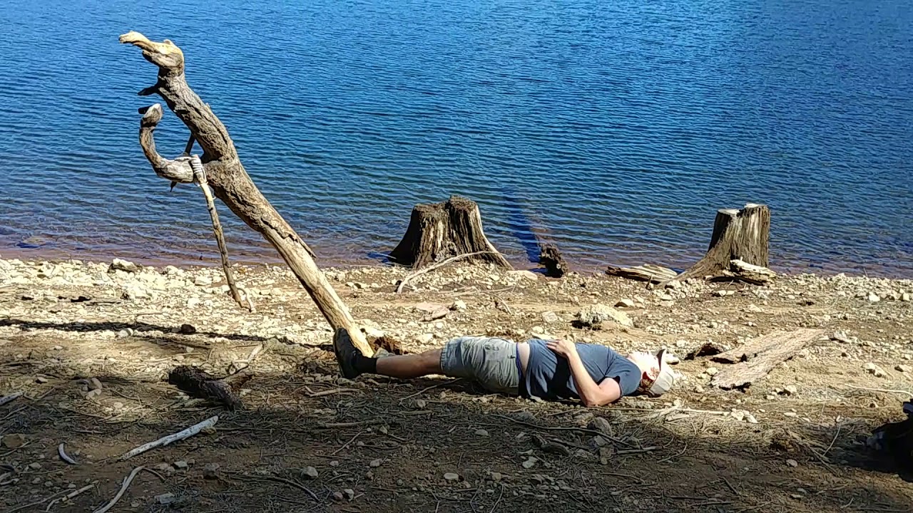 Man vs Tree - YouTube