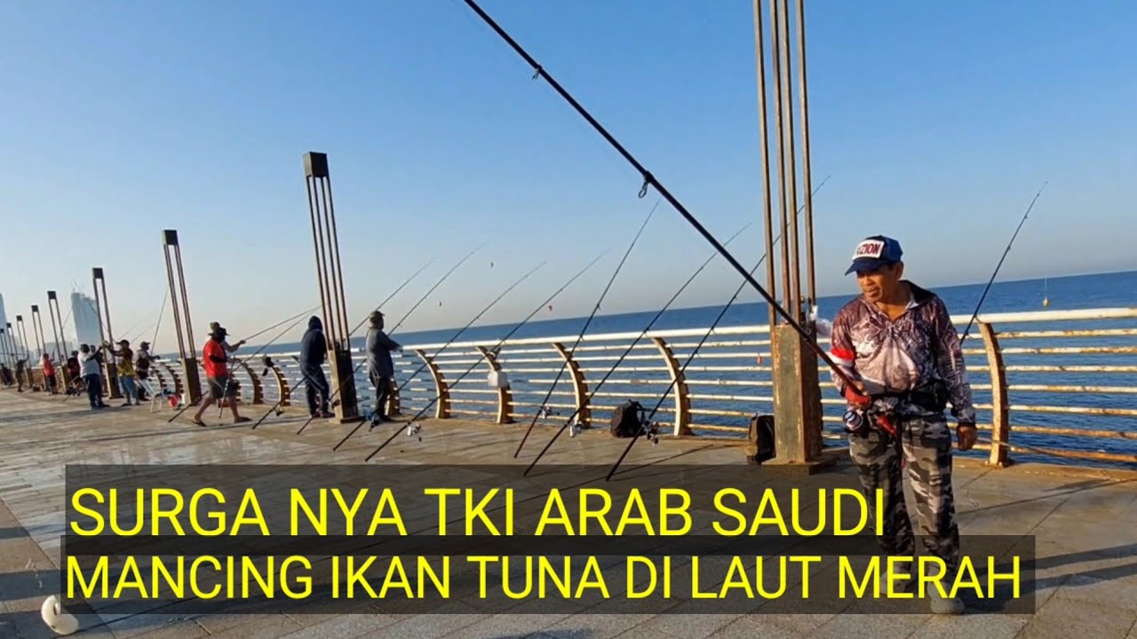 SURGA NYA PEMANCING IKAN TUNA DI PANTAI LAUT MERAH - YouTube