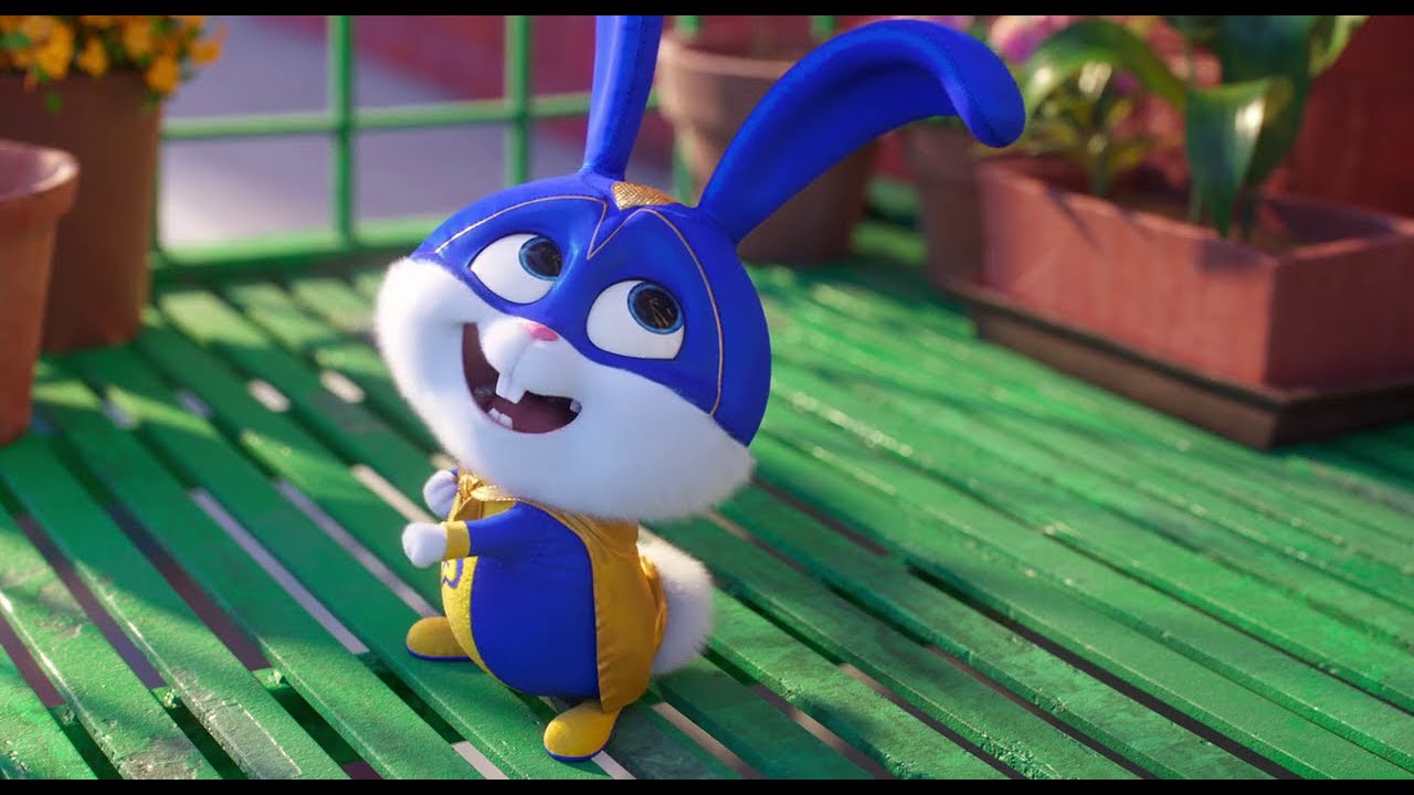 Watch:The Funny Scene Of Bunny From The Movie[ The Secret Life of Pets ...