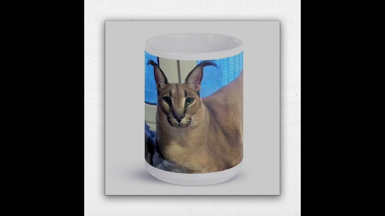 Raise a floppa song remix - YouTube