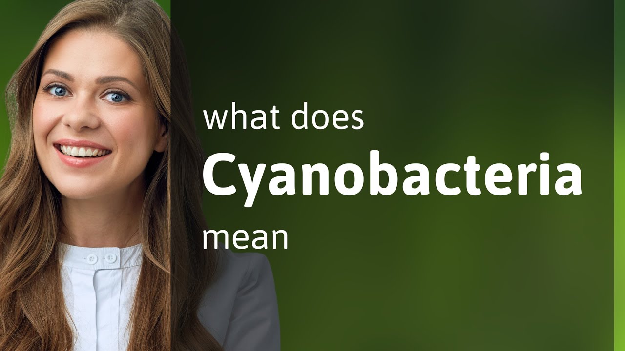Cyanobacteria — what is CYANOBACTERIA definition - YouTube