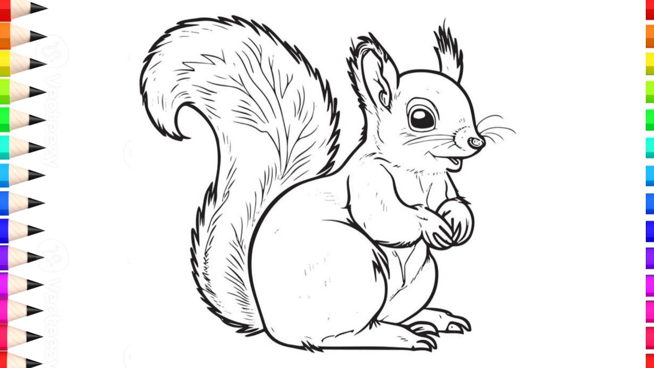 Squirrel Drawing Sketch 🐿️ || Squirrel Drawing Outline || Squirrel Drawing For Kids - YouTube