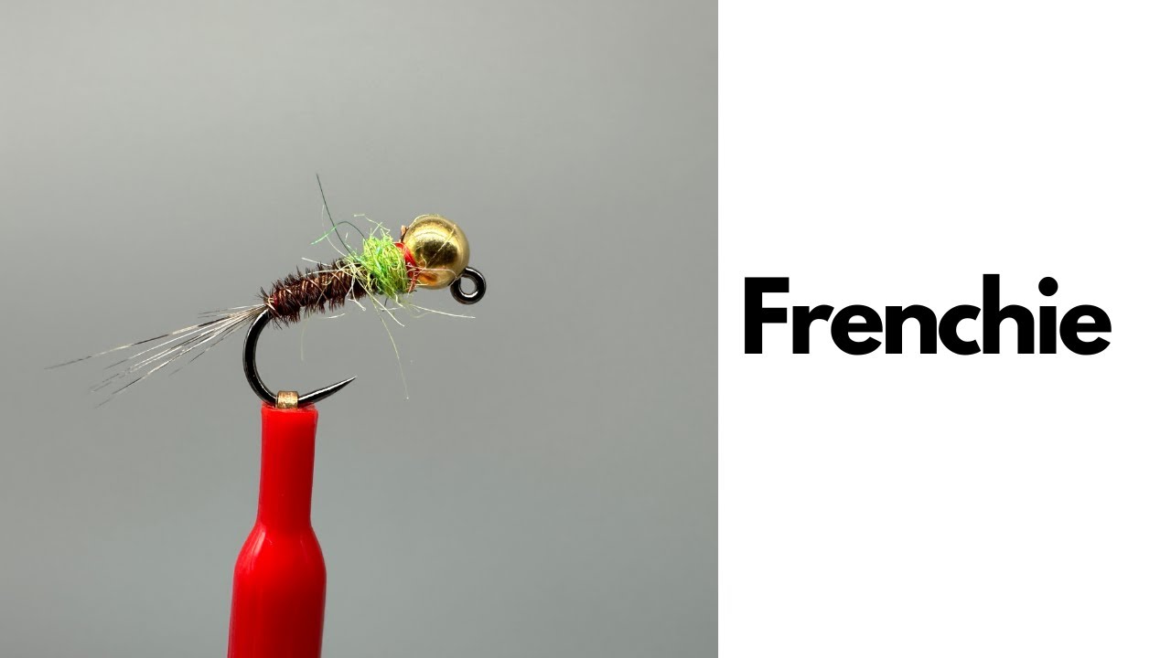 Fenchie on a Norvise - YouTube