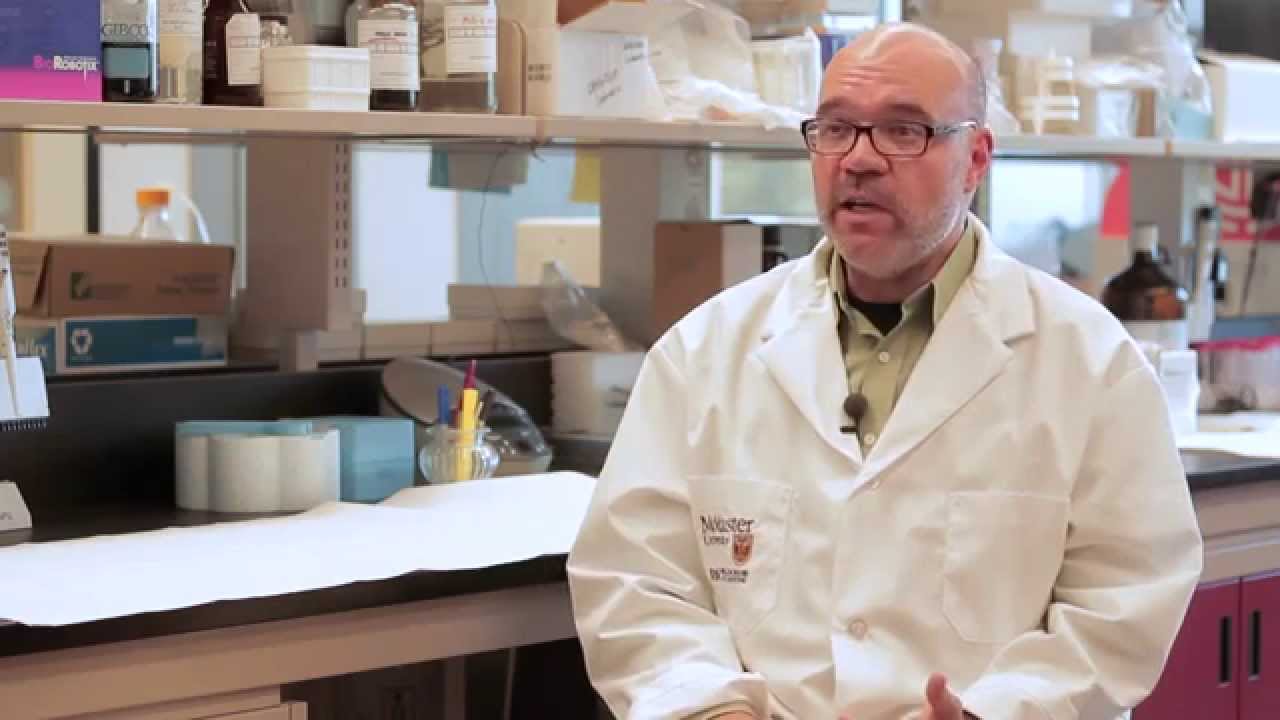 Antibiotic Resistance: Interview with Dr. Gerry Wright - YouTube
