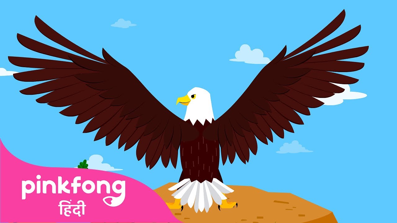 Eagle🦅 | ঈগল | Animal Songs | एनिमल सॉन्ग्स | Hindi Rhymes for kids ...