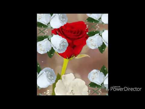 Rose🥀🥀 gif