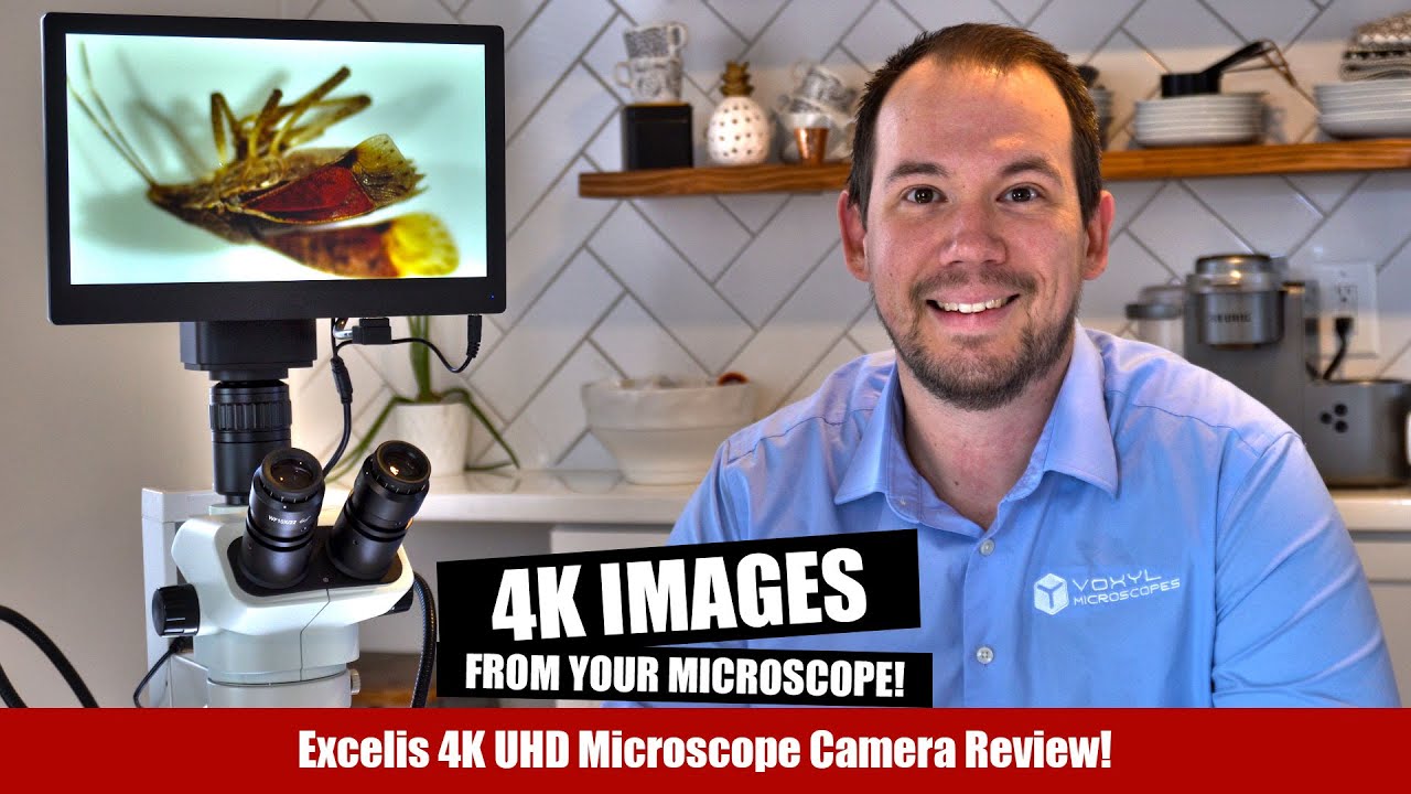 The NEW Accu-Scope Excelis 4K UHD Microscope Camera with GIVEAWAY ...