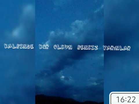 Aysel Aydoğan Gülme emi