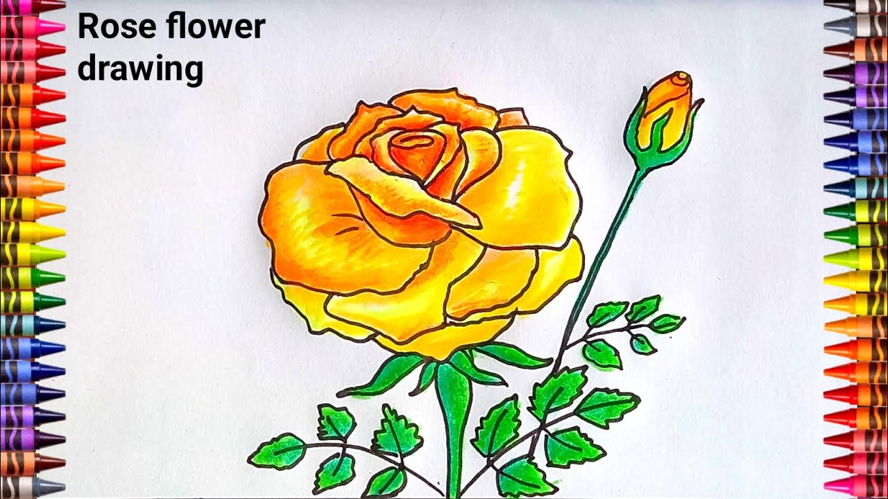rose flower drawing easy tutorial||yellow rose drawing - YouTube