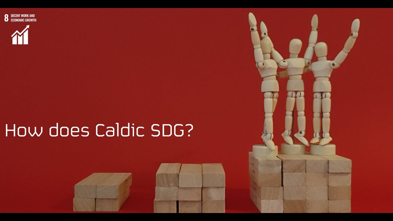 How We SDG - Goal 8 - Decent Work and Economic Growth - YouTube