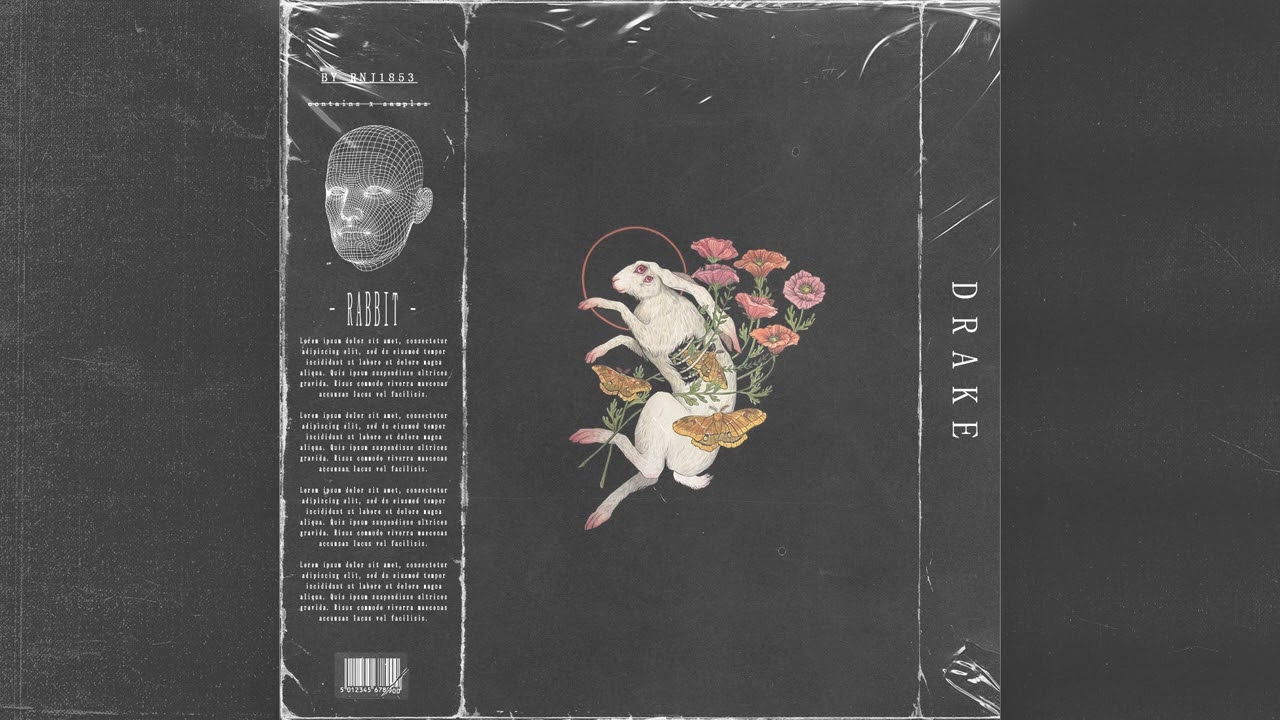 [FREE] Drake Type Beat - "Rabbit" - Chill Guitar Type Beat - YouTube