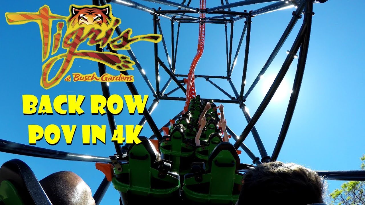 Tigris at Busch Gardens Tampa Back Row 4K POV!!! - YouTube