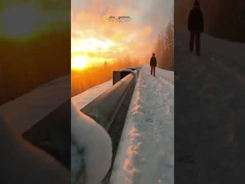 WhatsApp üçün yeni video və mahnı 2020 mp3