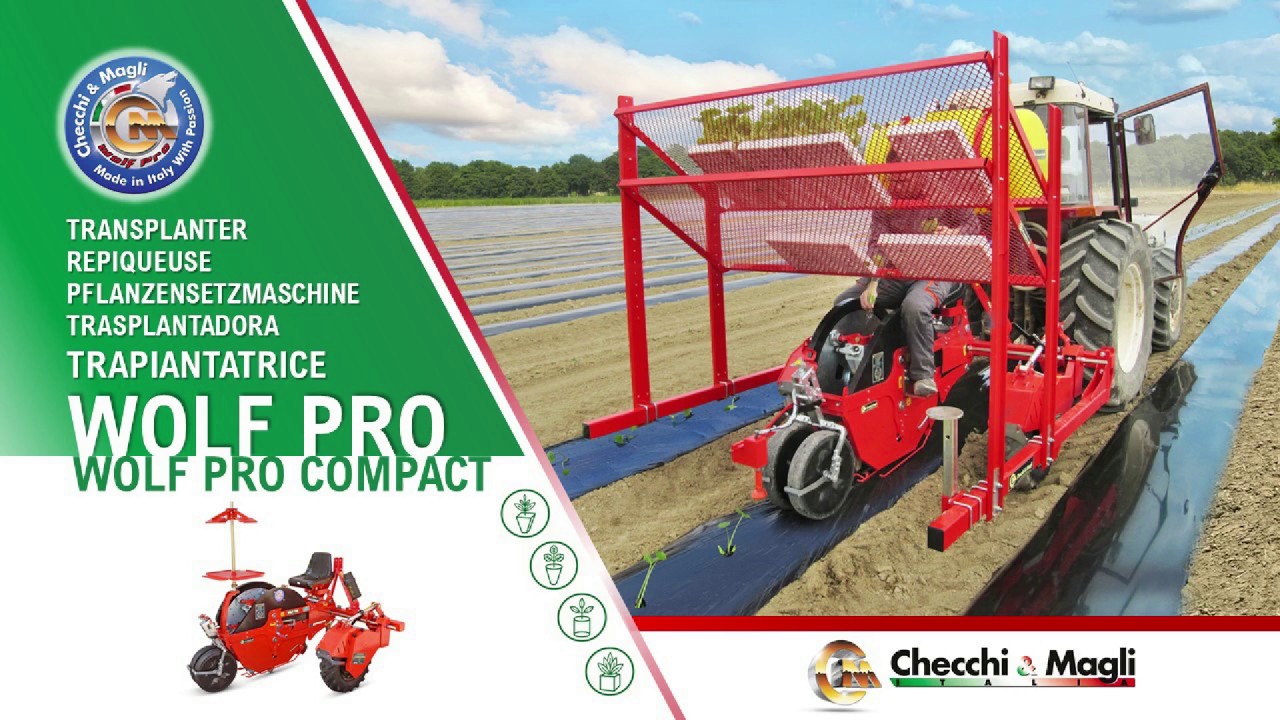CHECCHI & MAGLI - WOLF PRO - YouTube