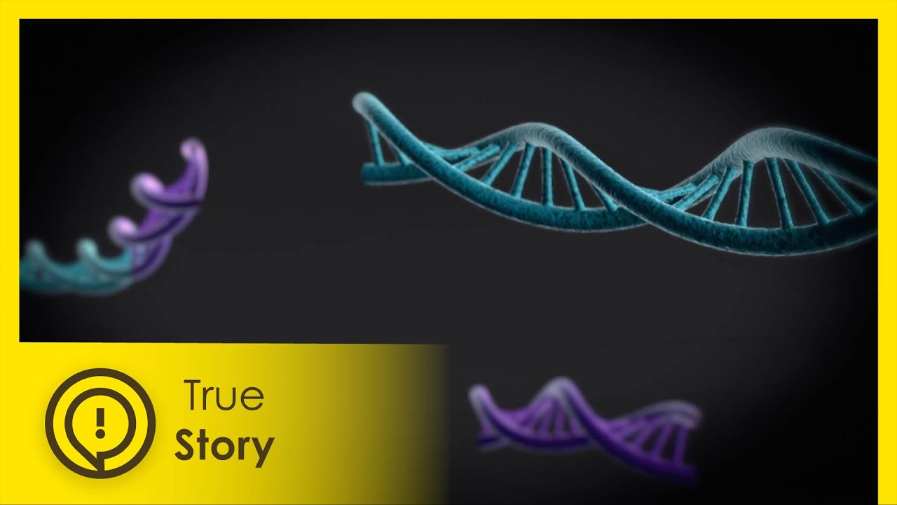 Resurrection Science | Science on the Edge 4/5 | True Story Documentary ...