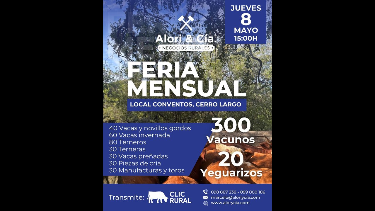 8/5/2025 Local Conventos - Feria Mensual - Alori y Cia - Luis A ...