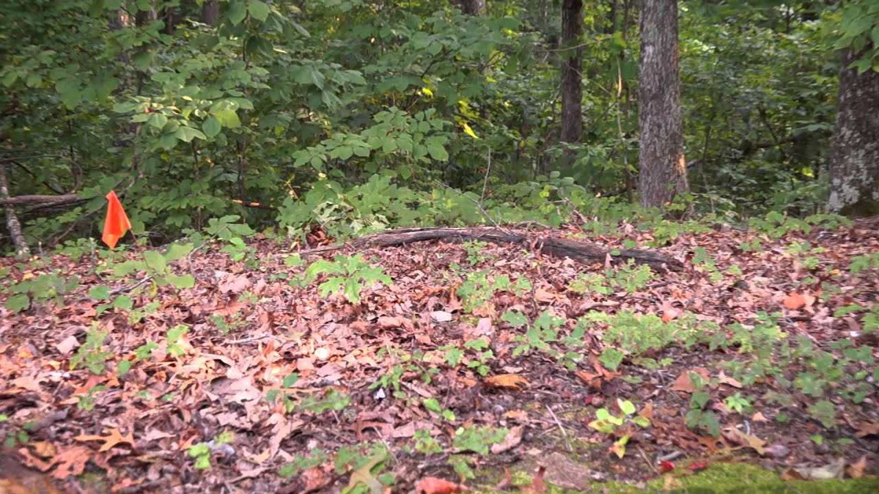 Sony NEX 3N - AVCHD 1920 x 1080, 24p - Gallery Sample Video