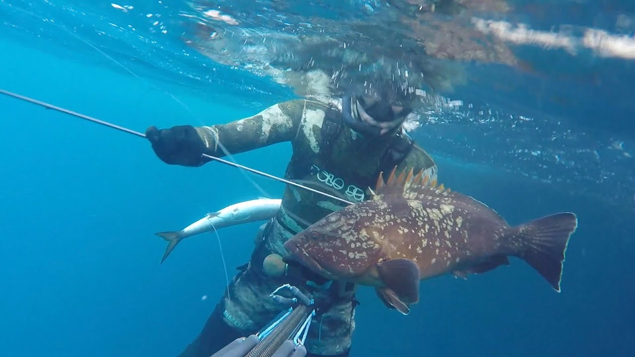 Pesca sub Cernie estive / Summer Grouper Spearfishing - YouTube