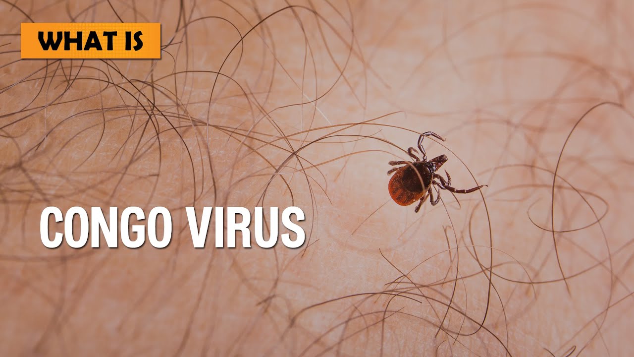 What is Congo Virus - YouTube