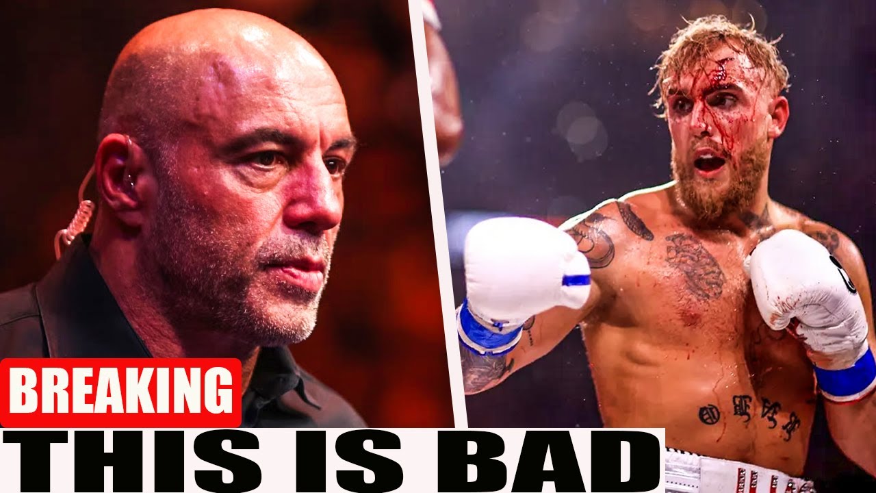 Joe Rogan SLAMS Jake Paul After He BACKS OUT of Tyson Fight - YouTube