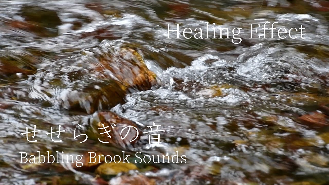 【自然風景】せせらぎの音 癒し自然音 Babbling Brook Sounds/Relaxing Nature Sounds/Healing ...